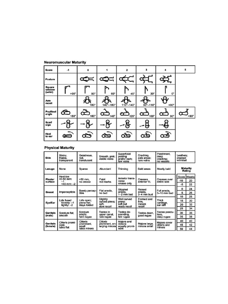 Ballart Score | PDF