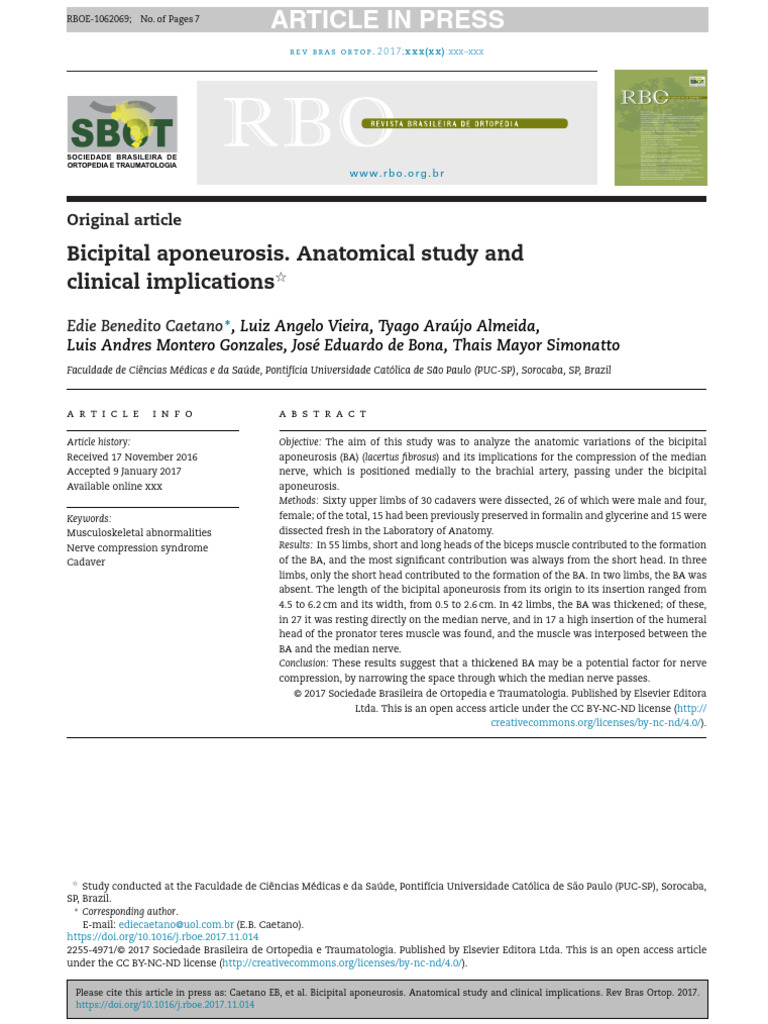 Lacertus Anatomy | PDF