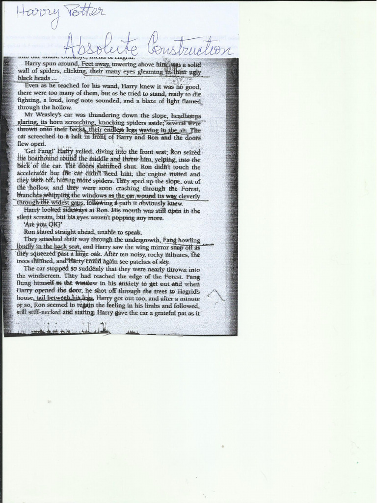 Absolute Construction | PDF