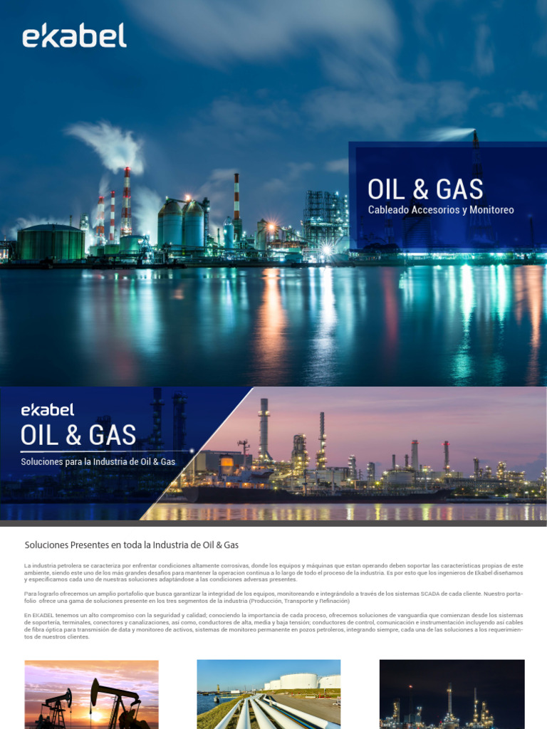 Brochure Oil and Gas | PDF