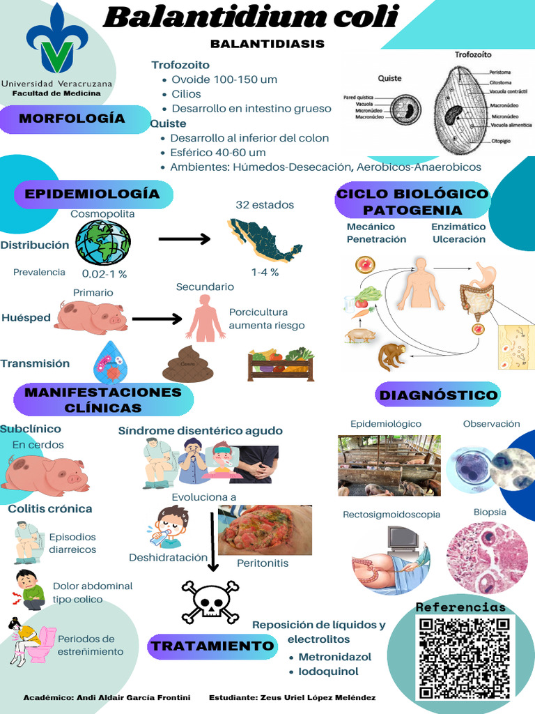 Balantidium Coli Infografia | PDF