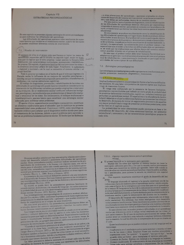 Bravo Valdivieso Cap 7 - Niveles de Intervención | PDF