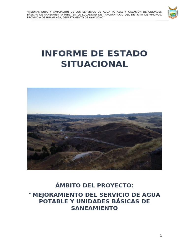 INFORME DE ESTADO SITUACIONAL final | PDF