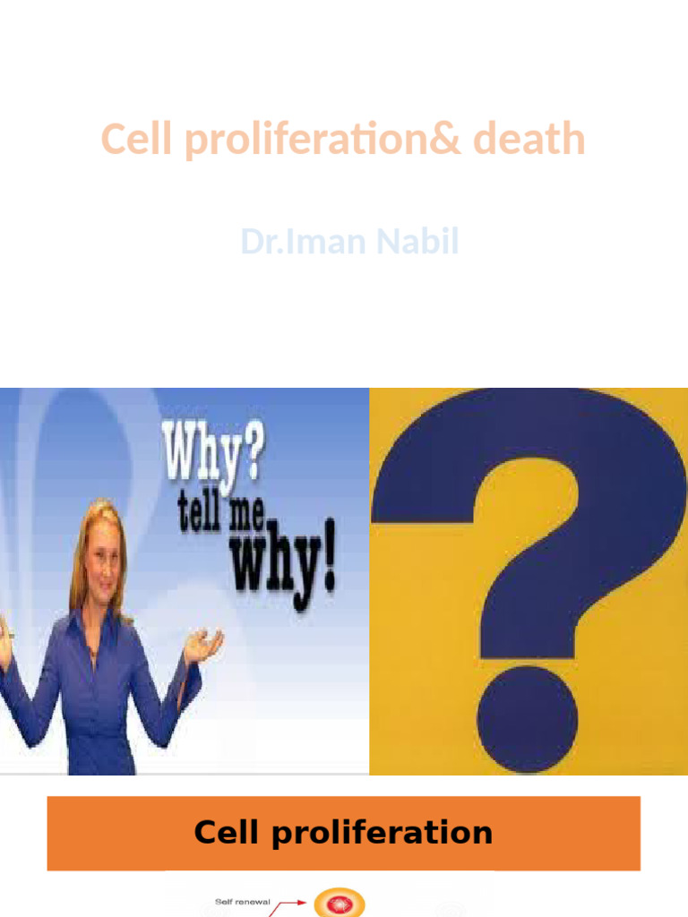 Cell Proliferation, Stem Cells, Cell Death 2021 | PDF