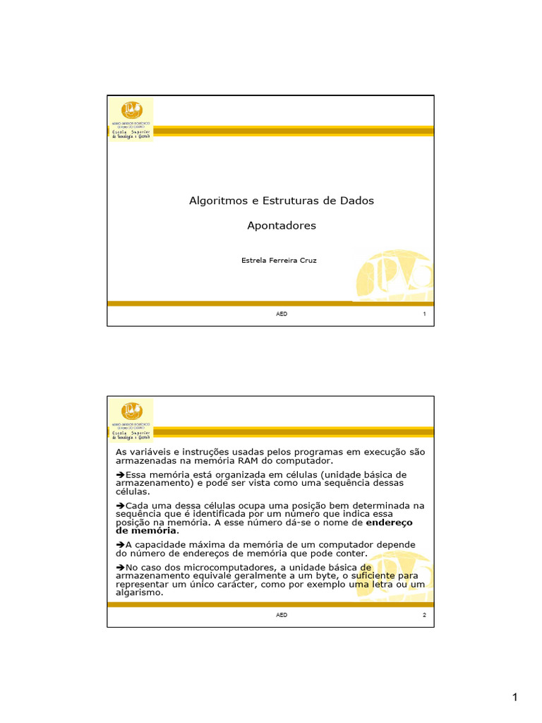 Aula10 Apontadores | PDF