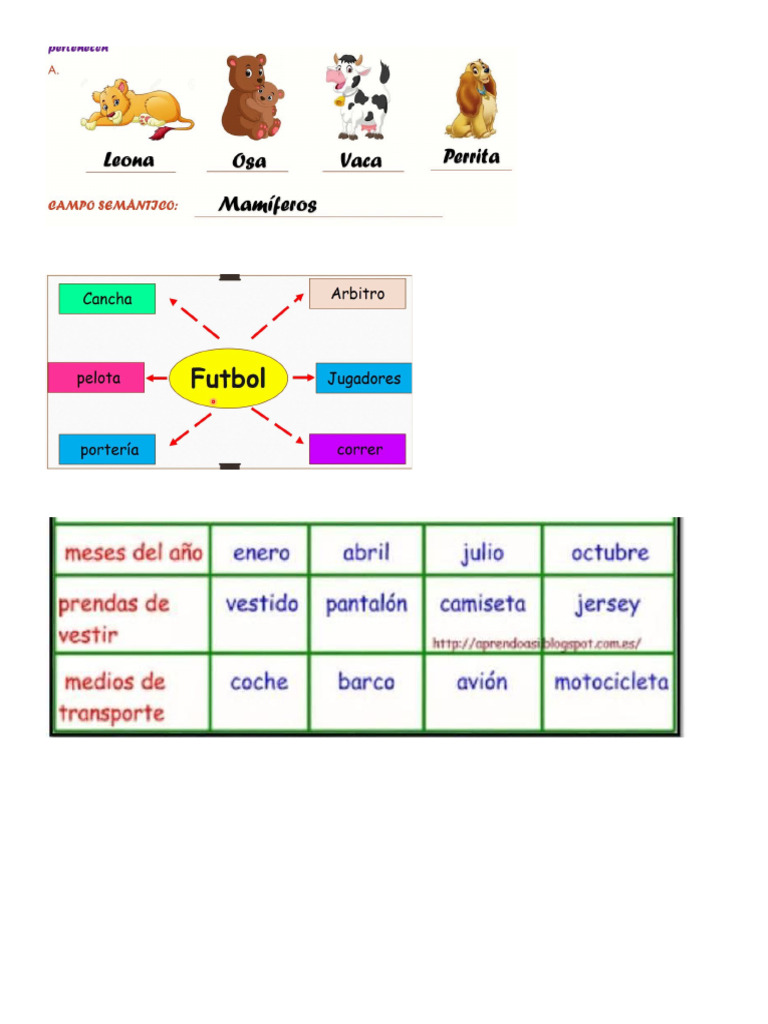 Campos Semanticos | PDF
