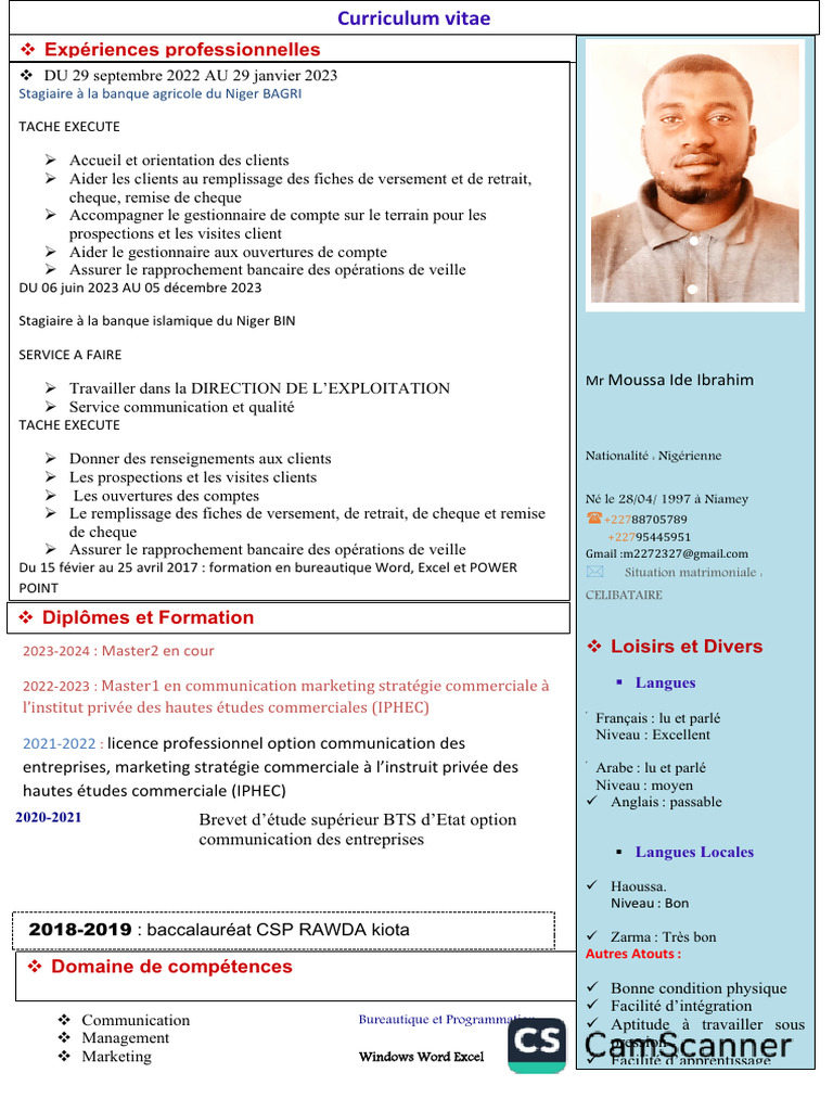 CV Ibrahim | PDF