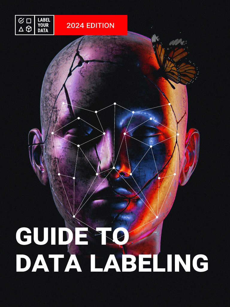 Guide To Inhouse Dataset Labeling | PDF