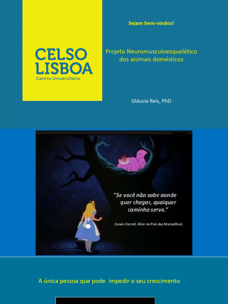 Aula 1 Sistema NME | PDF