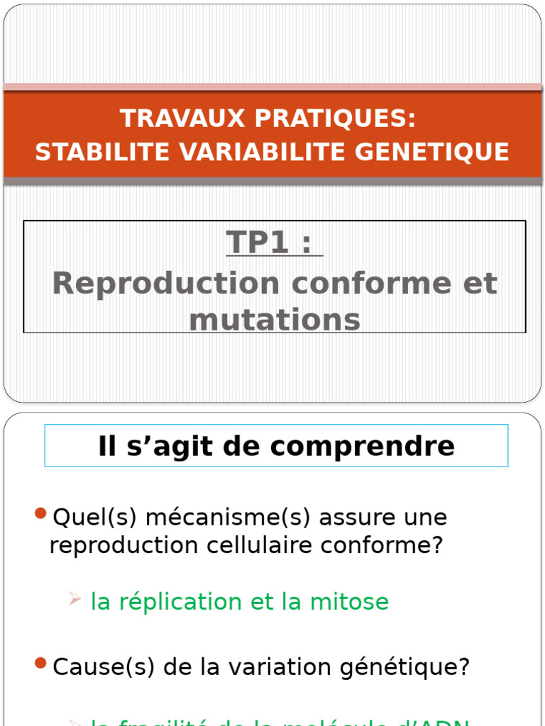 TP1 Stab Var 2023 | PDF
