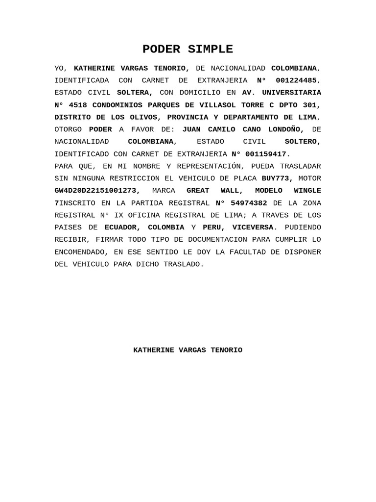 MODELO PODER SIMPLE | PDF