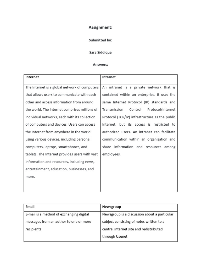 Sara Computer Assignment | PDF