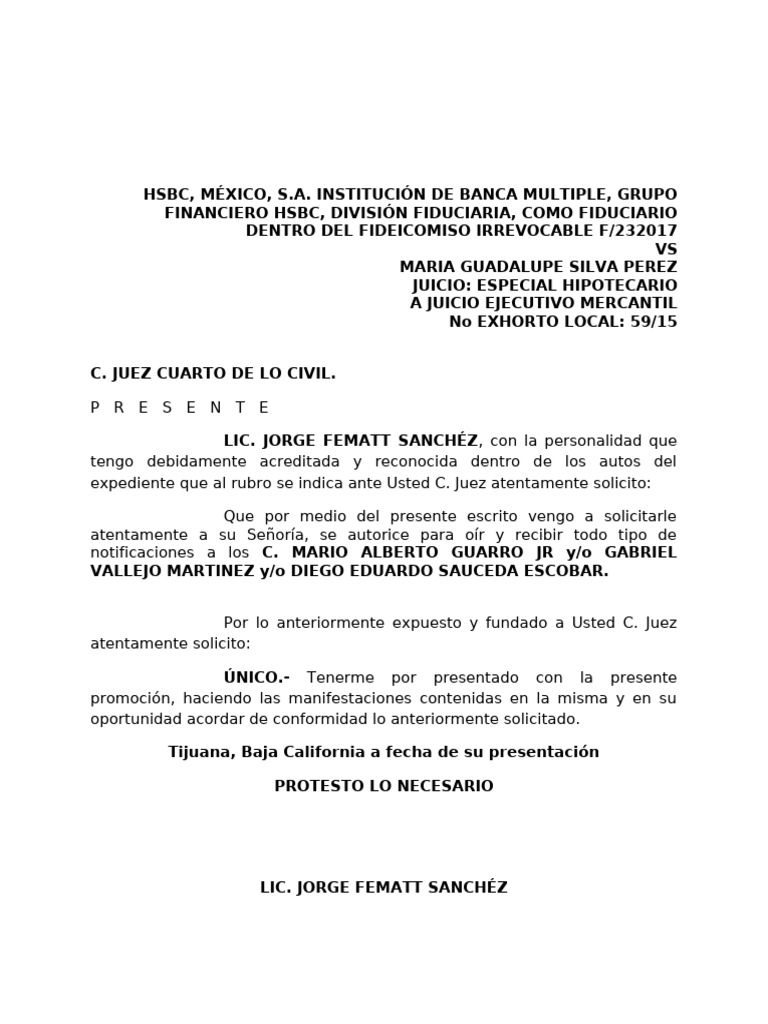 HSBC VS Maria Guadalupe Silva | PDF