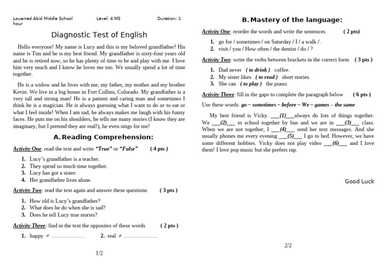 4MS Diagnostic Test 2022 | PDF