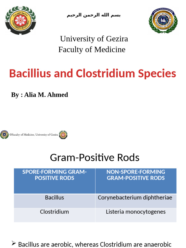 Clostridia and Bacillius | PDF