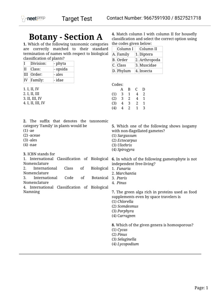 Target Test | PDF