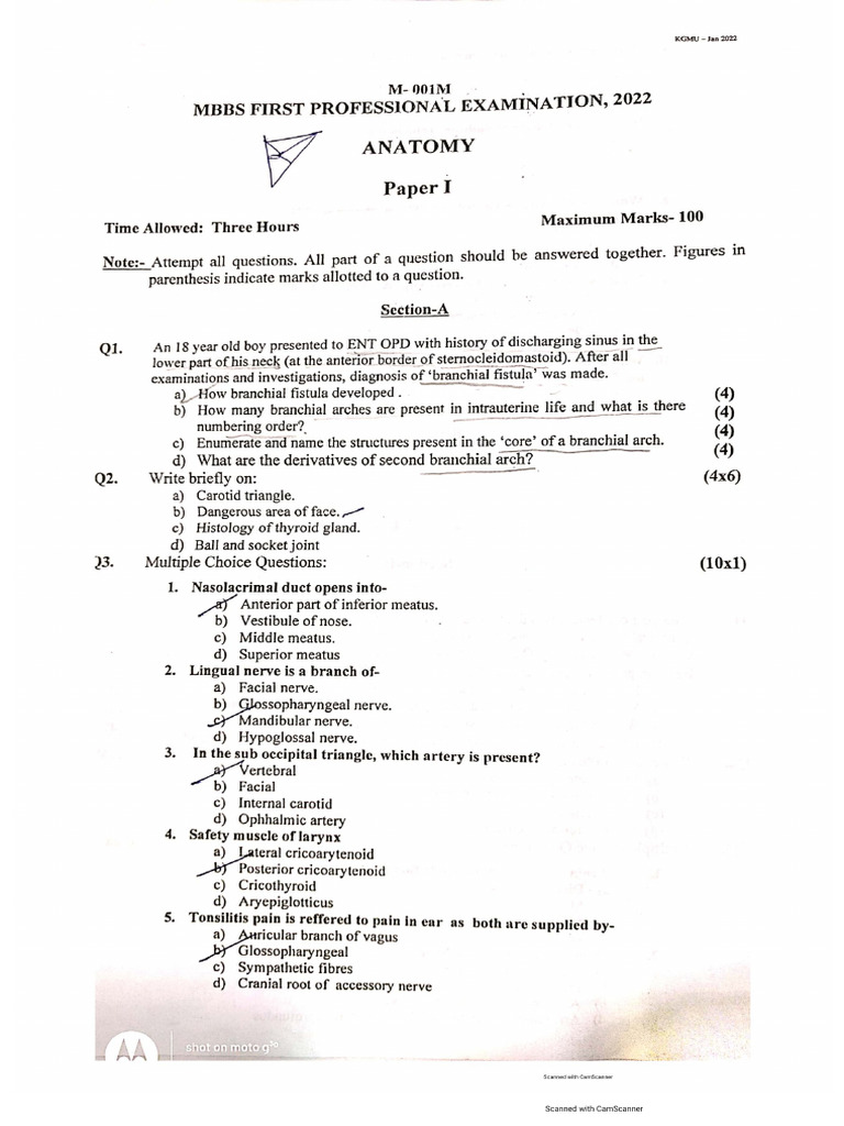 Fist Proff Upto 2022 | PDF