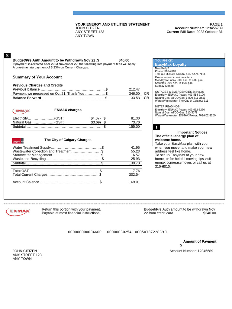 Canada ENMAX Utility Bill Word and PDF Template | PDF
