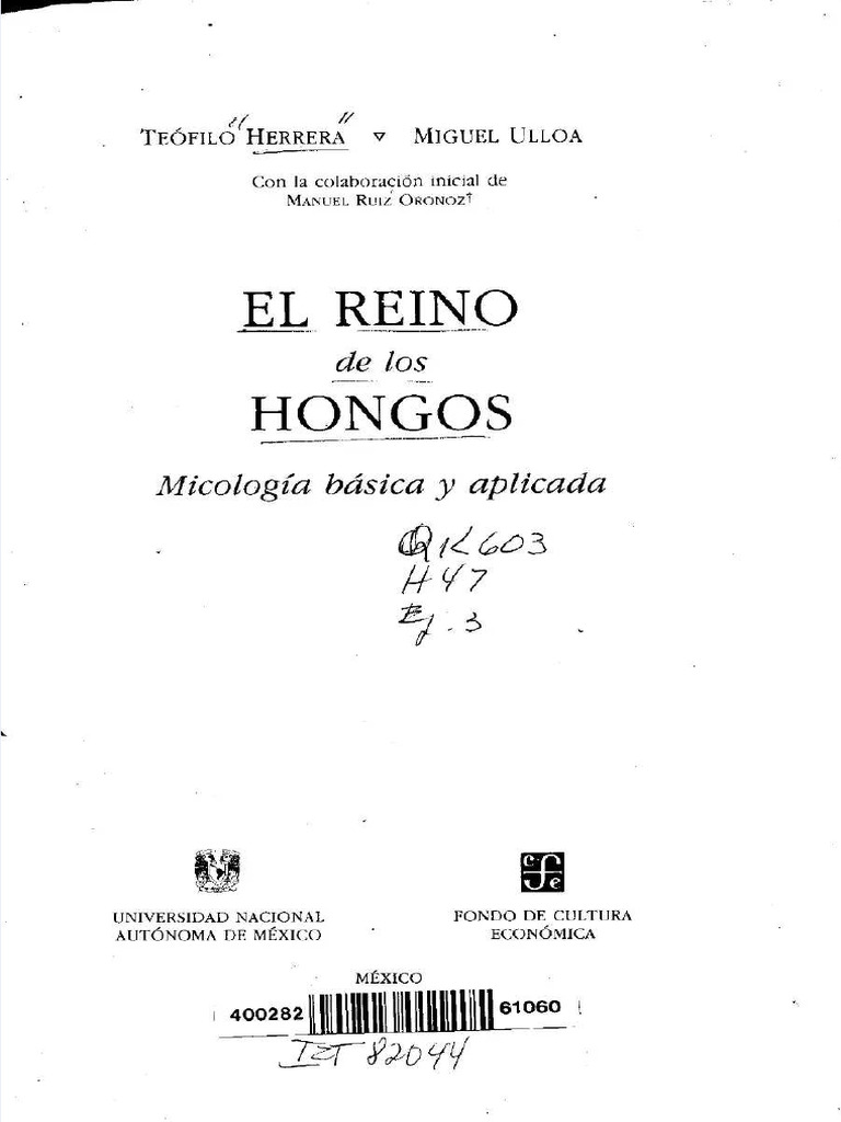 El reino de los hongos (Micología básica y aplicada) - Teófilo Herrera ...