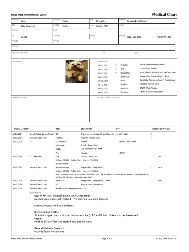 Coco Patient Chart | PDF