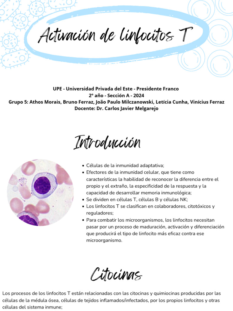 Activación De Linfocitos T 1 Pdf