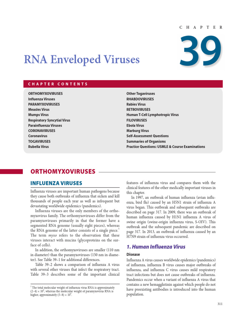 Influenza Notes | PDF