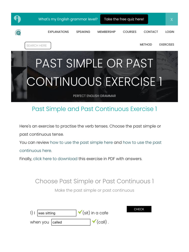 Past Simple and Past Continuous Exercise 1 | PDF