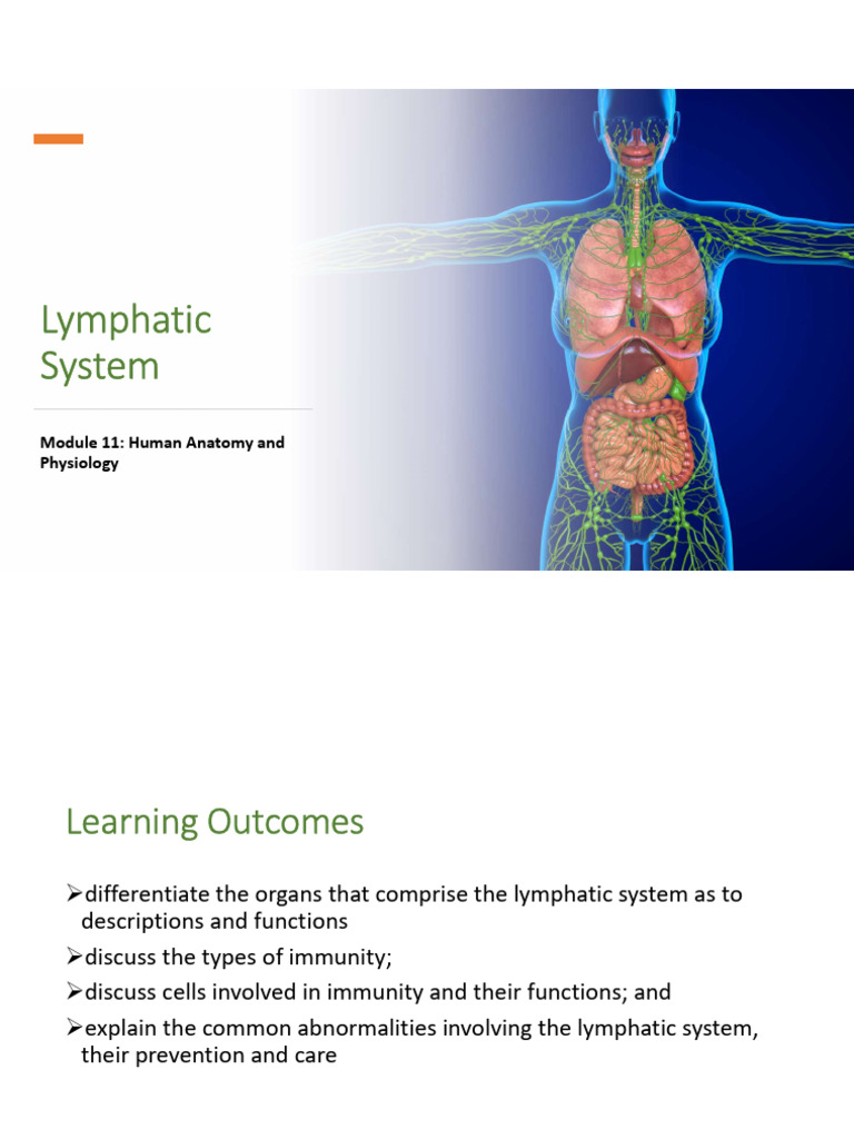 Module 11 Lymphatic System | PDF