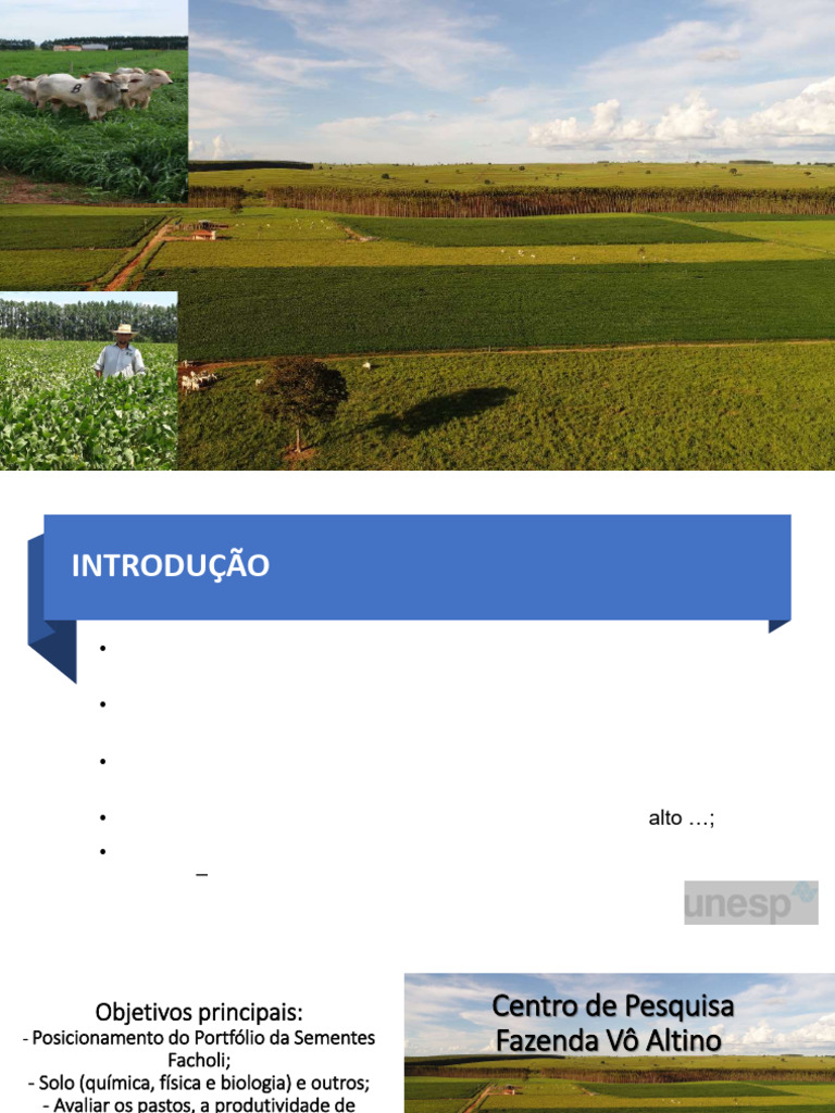 AULA11 ILP Principais Sistemas de ILP 2024 | PDF