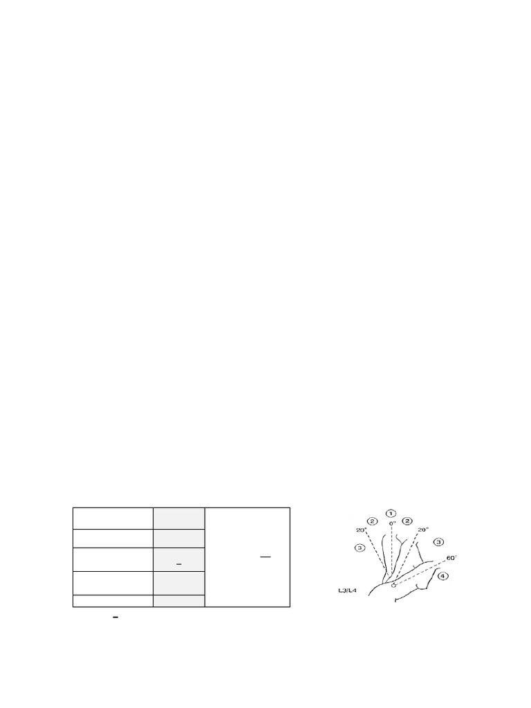 REBA | PDF