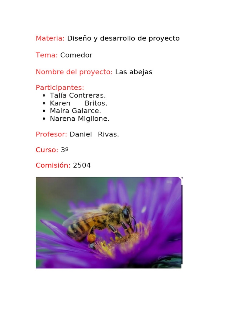 Proyecto Comedor, Las Abejas. | PDF