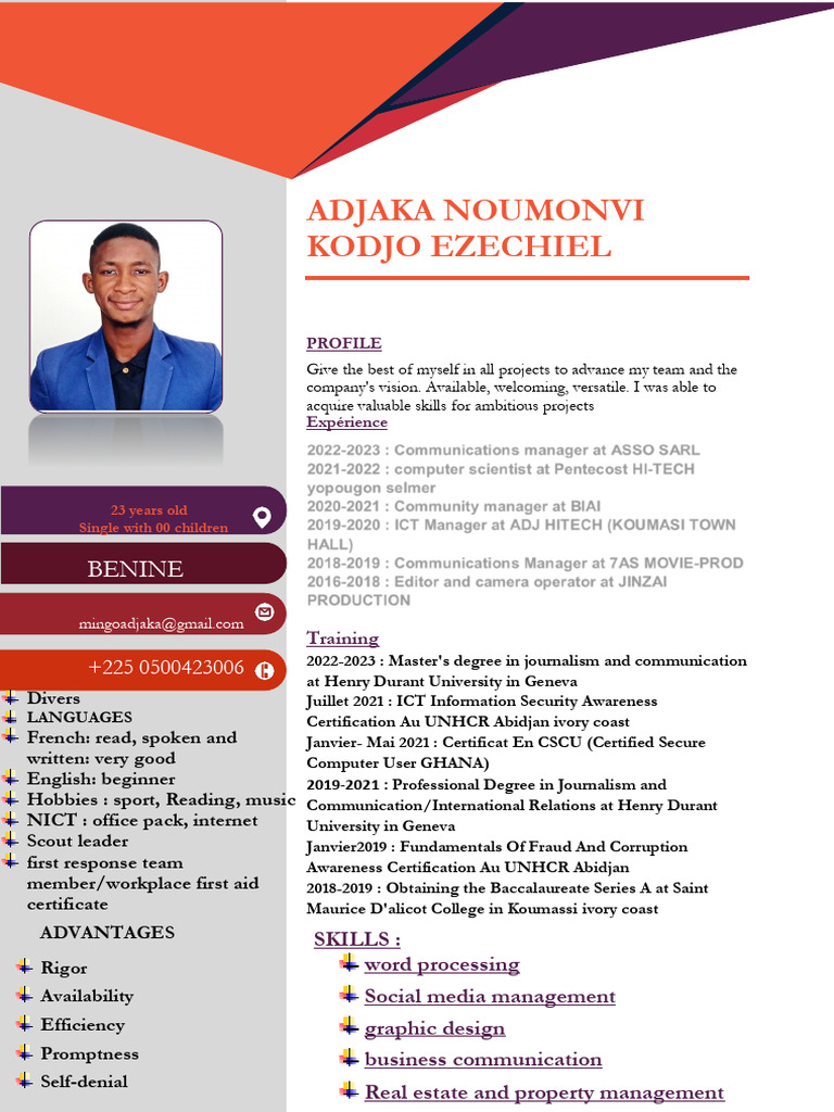 CV Adjaka English | PDF