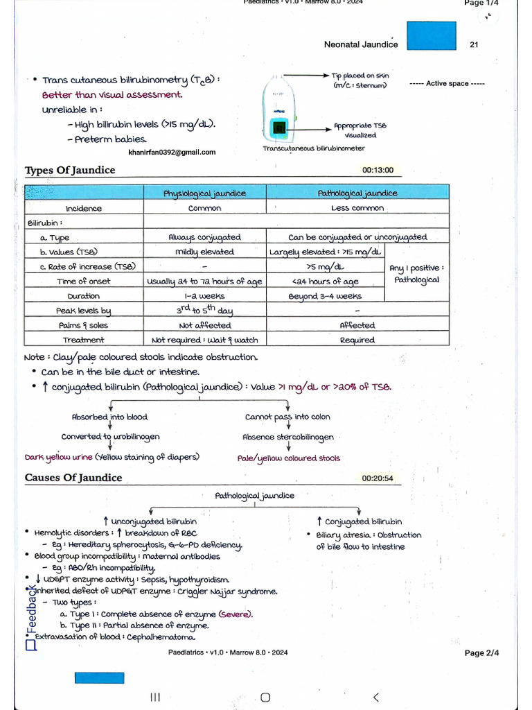 Jaundice Paeds | PDF