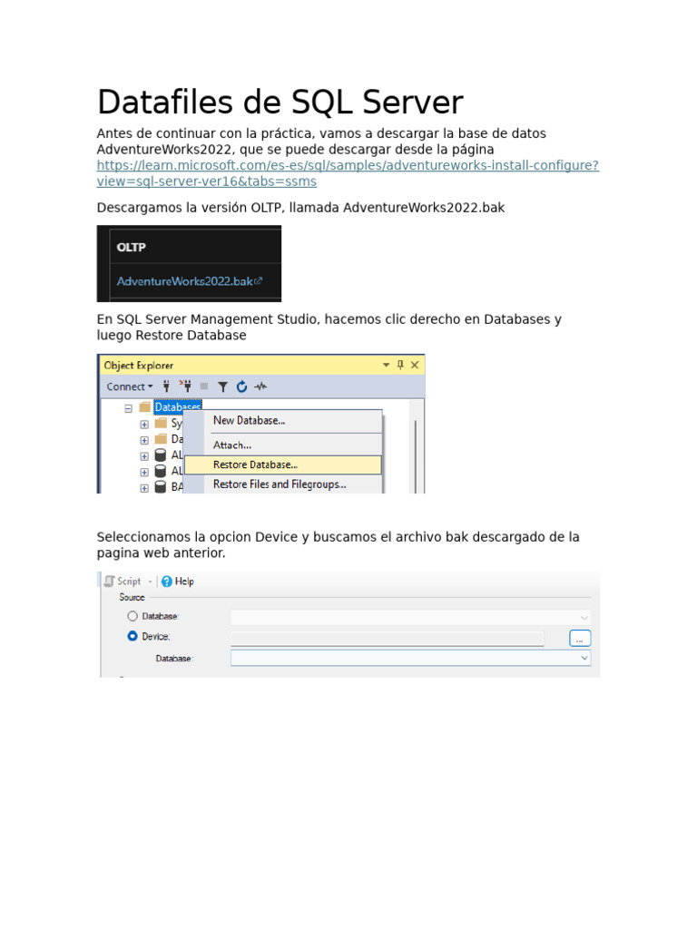 Practica Datafiles y Transactions | PDF