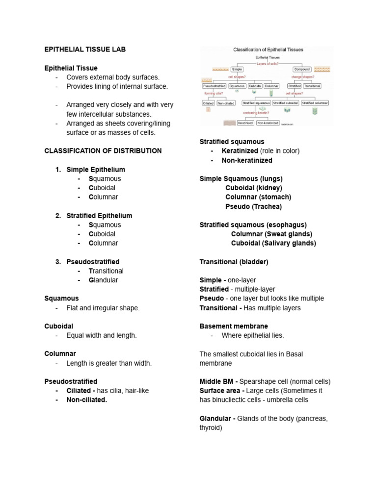 Histology Lab Designmicrobiology Lab Layout Diagram