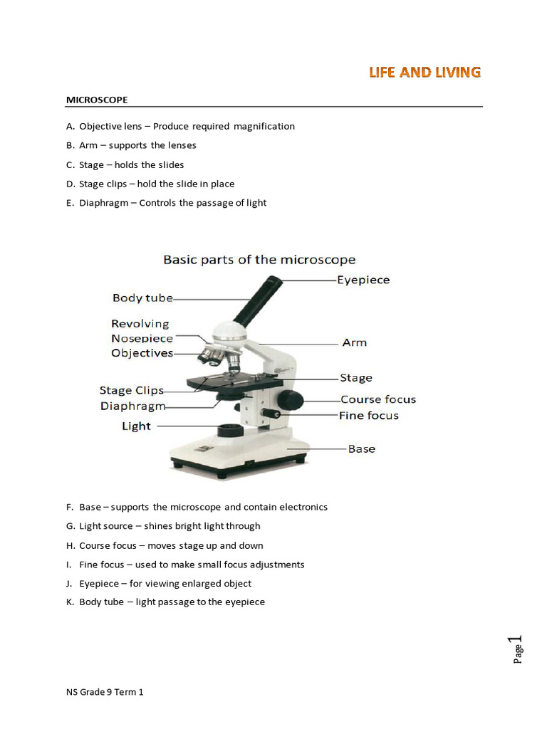 NS Grade 9 Guide Term 1 2021 | PDF
