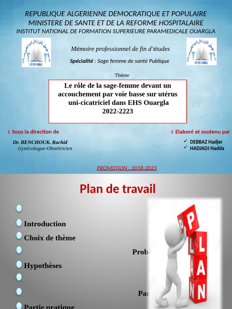 Mémoire Hadda Hadjer | PDF