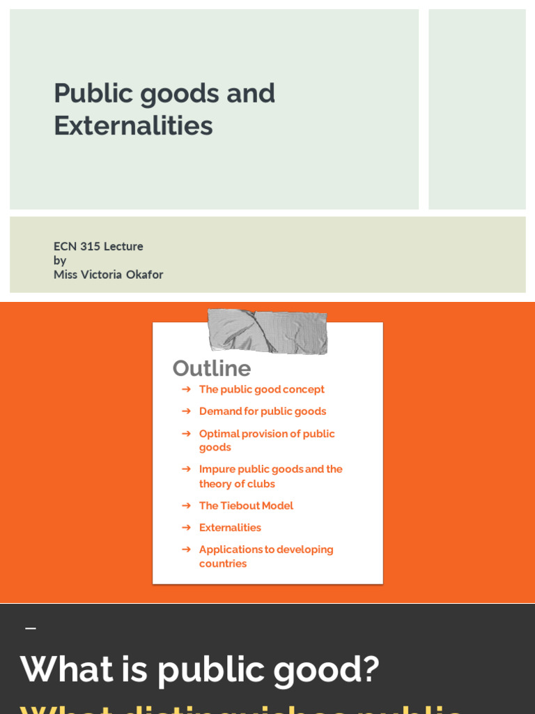 Public Goods Part 1 | PDF