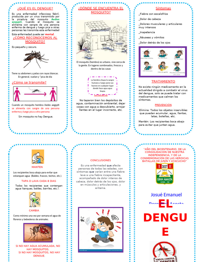 triptico el dengue final | PDF