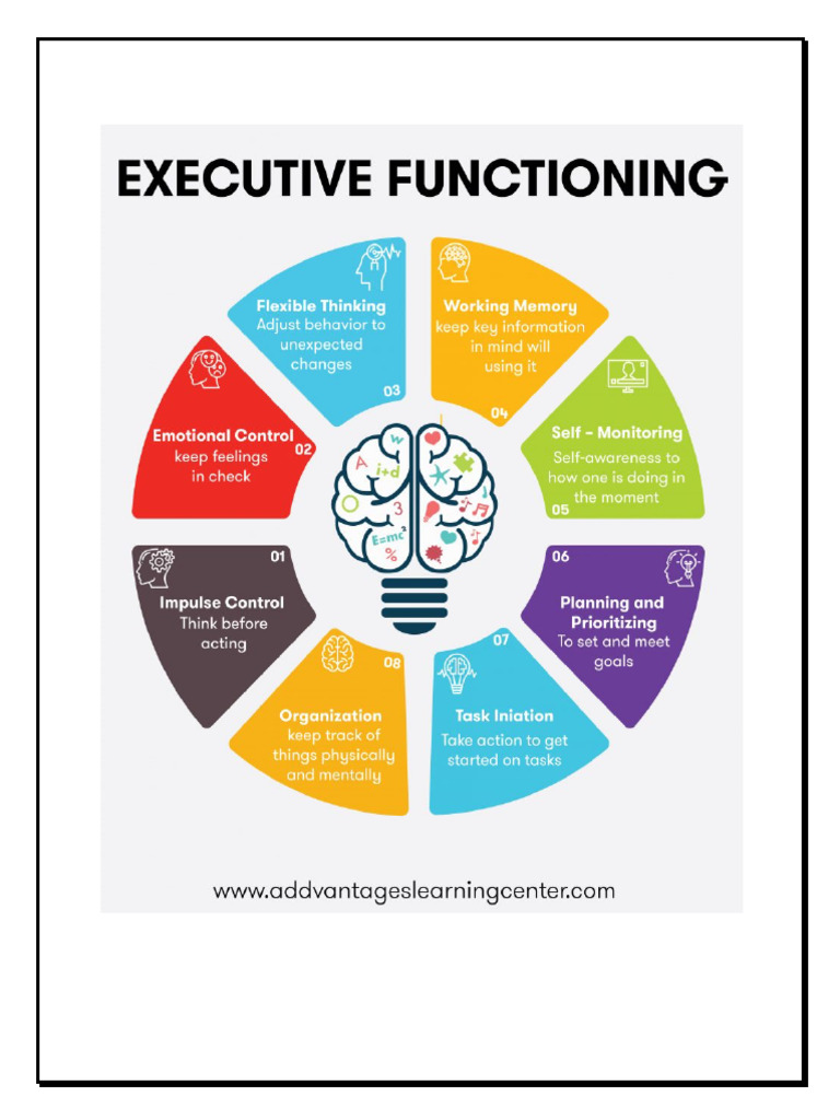 Executive Functioning Skills Graphic | PDF