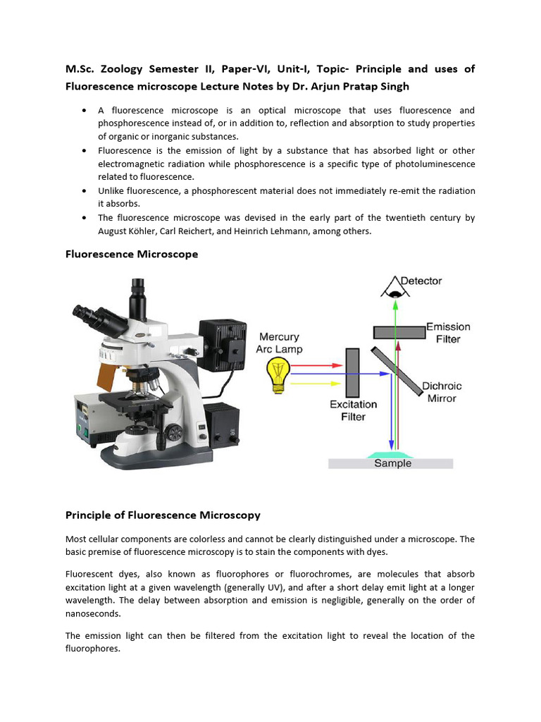 Fluorescence Micros | PDF | Fluorescence Microscope | Science & Mathematics