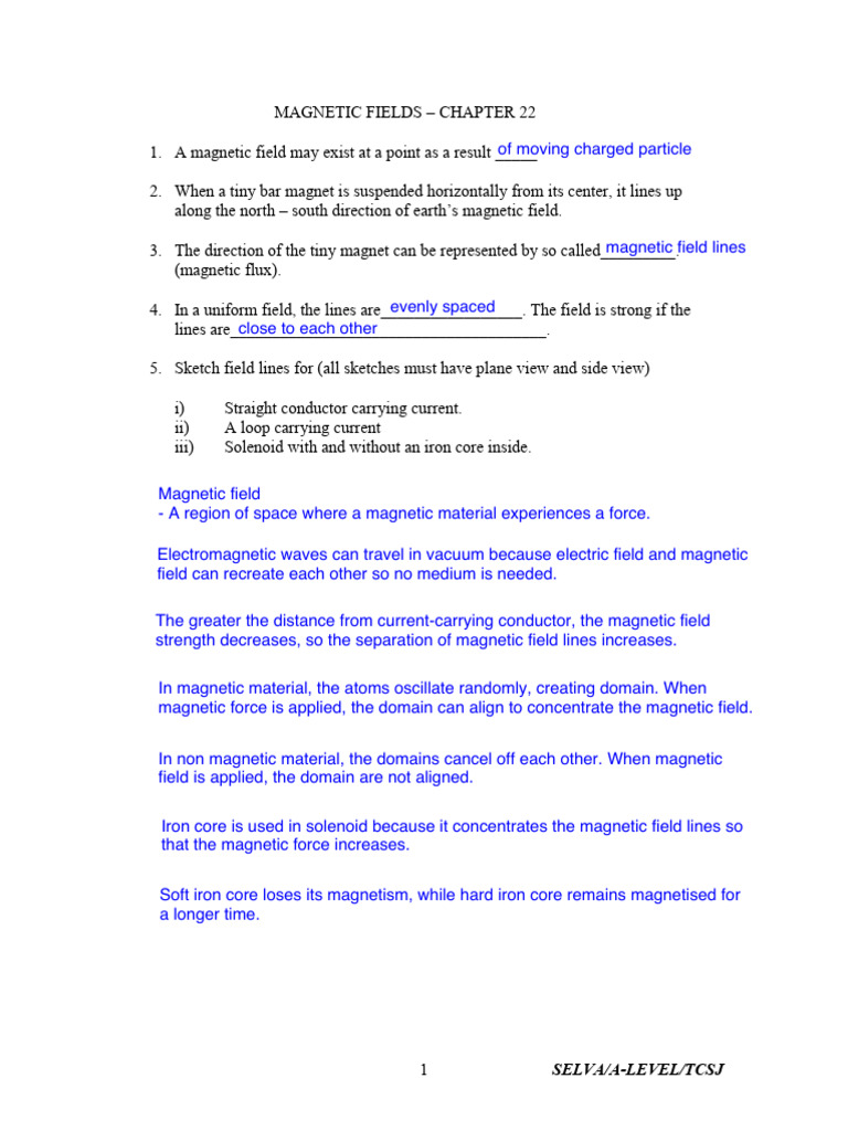 20 - Magnetic Fields | PDF