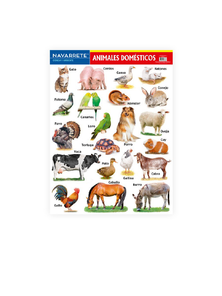ANIMALES | PDF