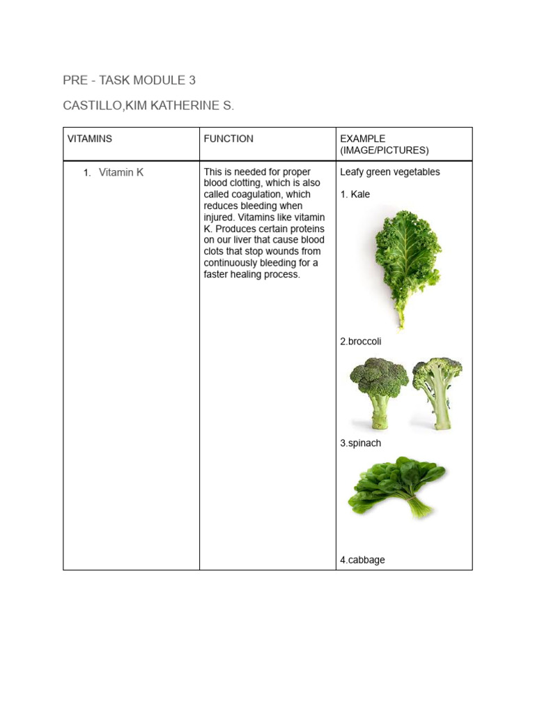 Pre - Task Module 3 | PDF