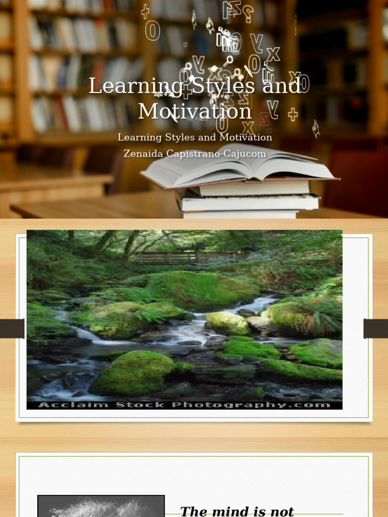 Learning Styles and Motivation ZCC | PDF