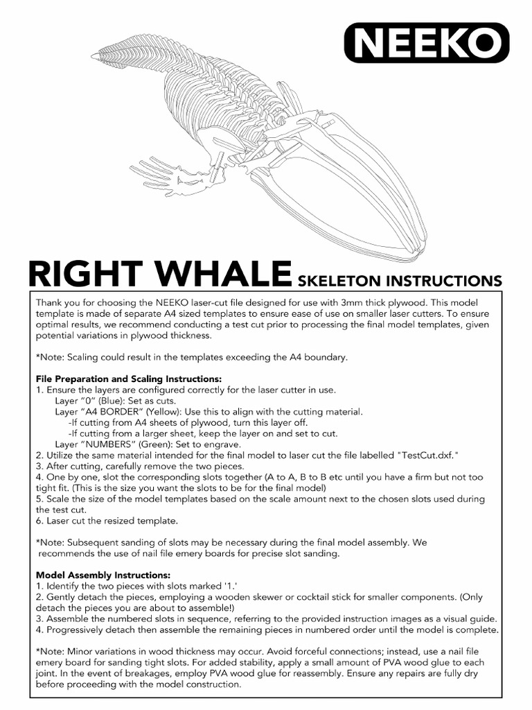 Right Whale Instructions-A4 | PDF