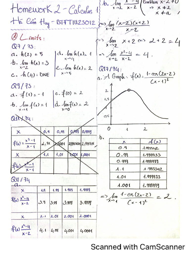 Homework Calculus 2 | PDF