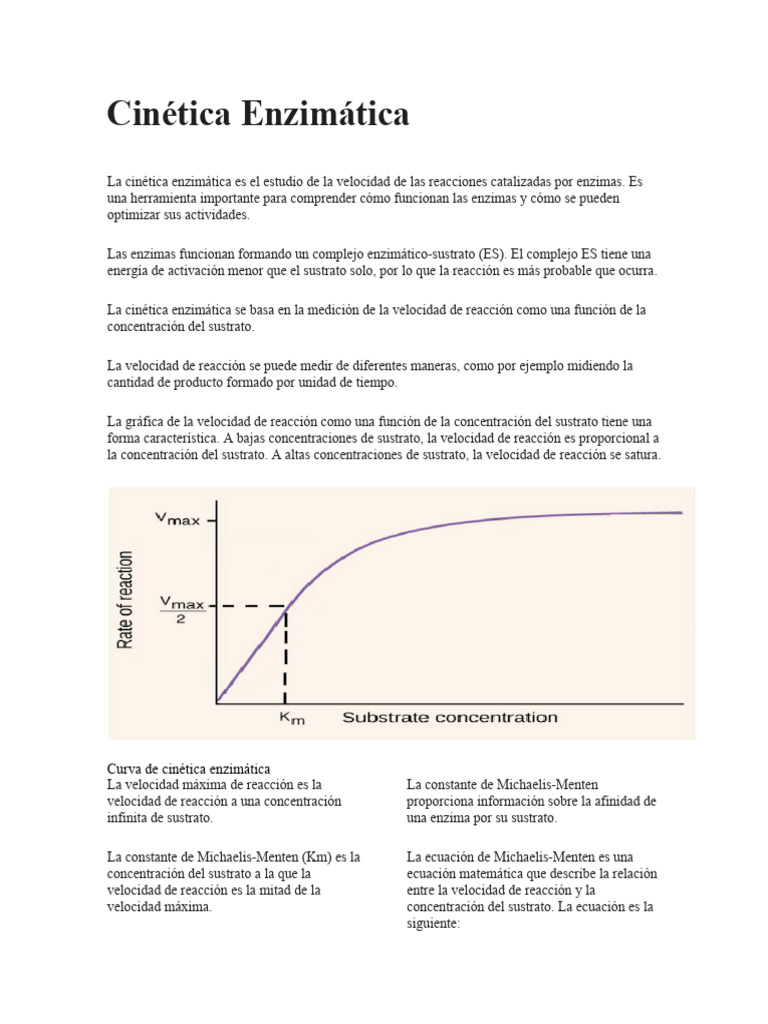 Cinética Enzimática | PDF