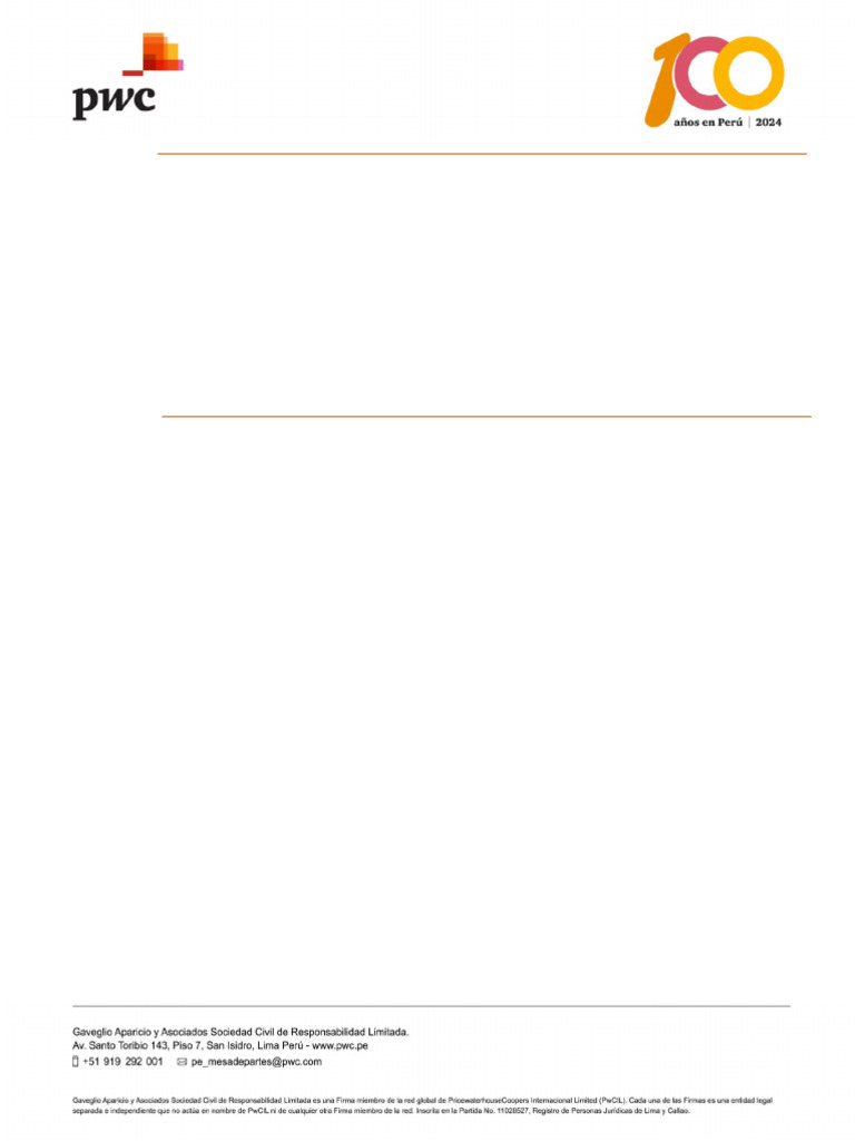 EEFF Auditados 2023 - San Juan-1 | PDF