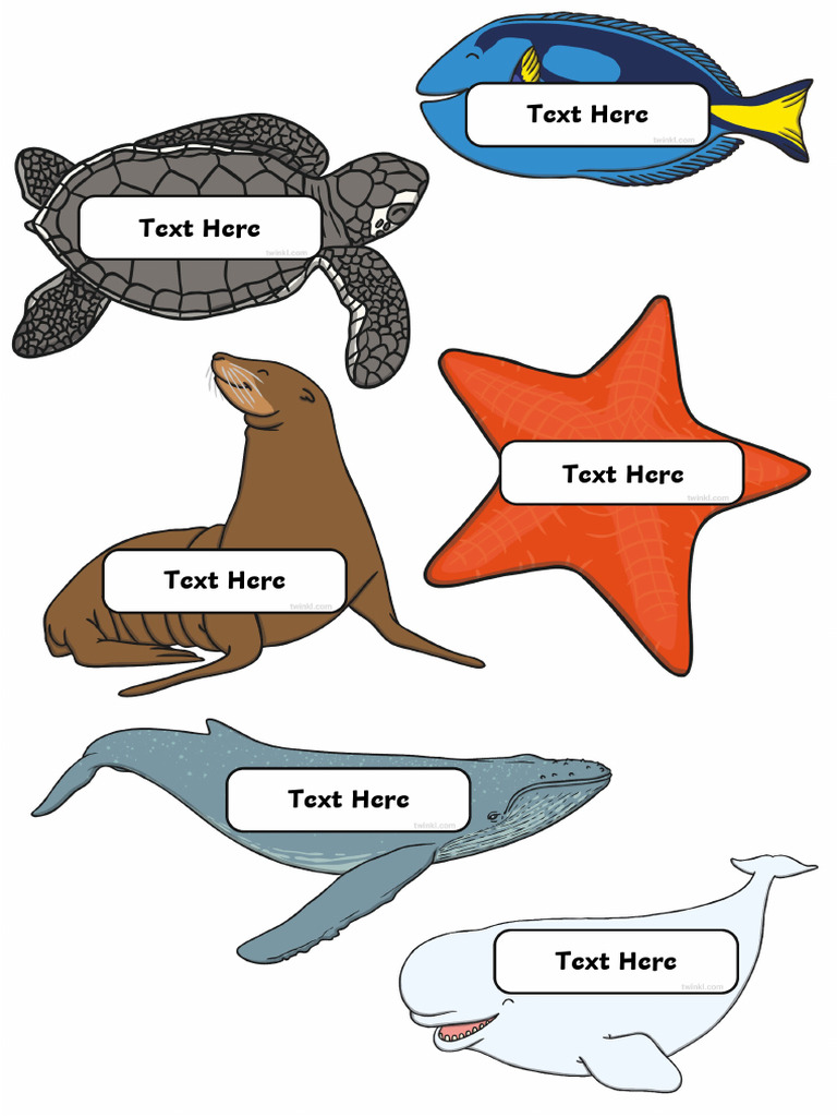 Fish Name Labels | PDF